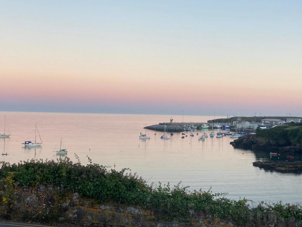 Sandy Cove - SuiteTrails