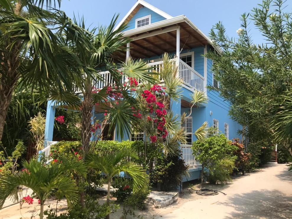 Sandy's Secret, Caye Caulker (updated prices 2026)