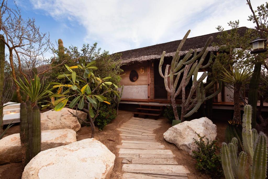 El Perdido Desert Dream- Todos Santos Adults Only, El Pescadero (prezzi ...