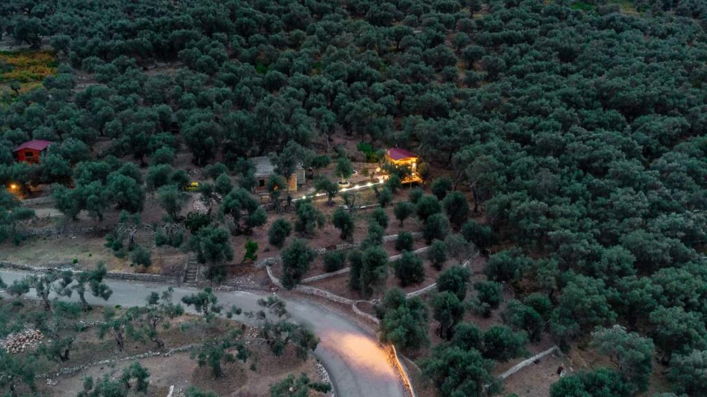 Olive Treasure, Ulcinj (updated prices 2026)