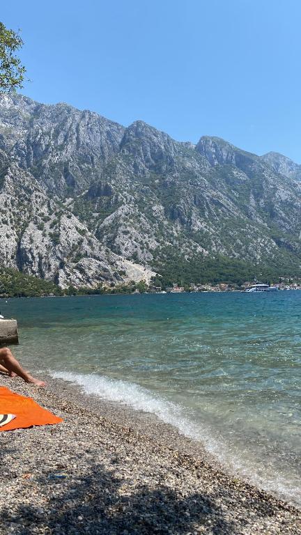 Apartment Babovic Orahovac Kotor, Kotor (updated prices 2025)