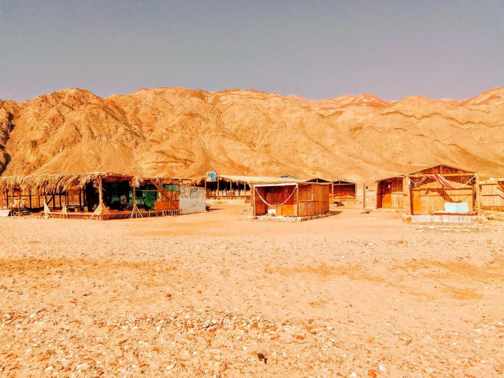 Husha Shanti Camp, Nuweiba (harga terbaru 2025)