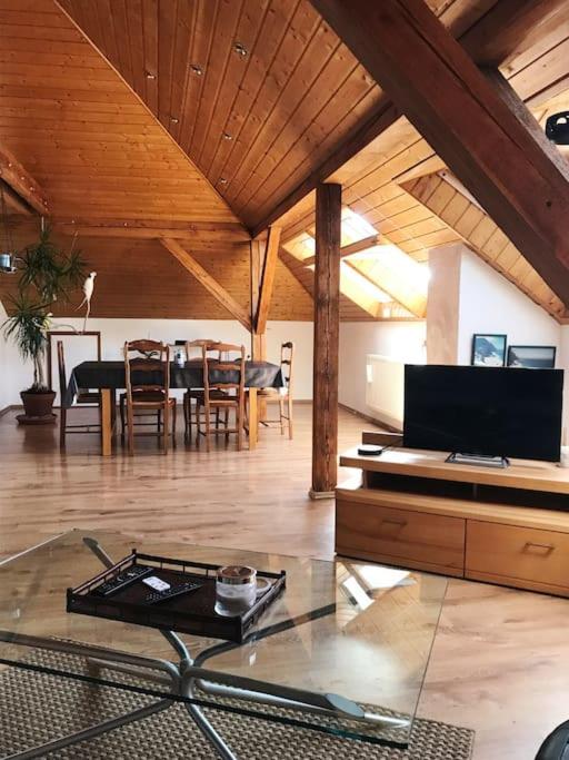 Large & Cozy 120 M2 Spacey Apartment, 4 Rooms With Kitchen And Big Living Room - Niederbronn-les-Bains