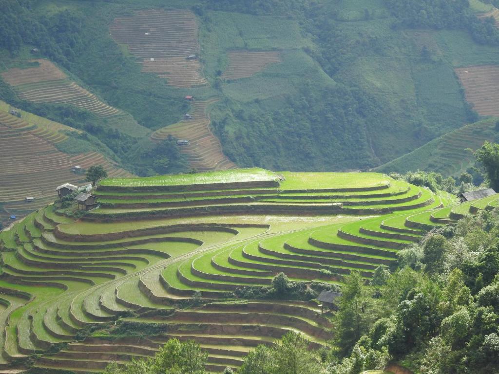 Cao Pha Homestay, Mù Cang Chải (updated prices 2025)