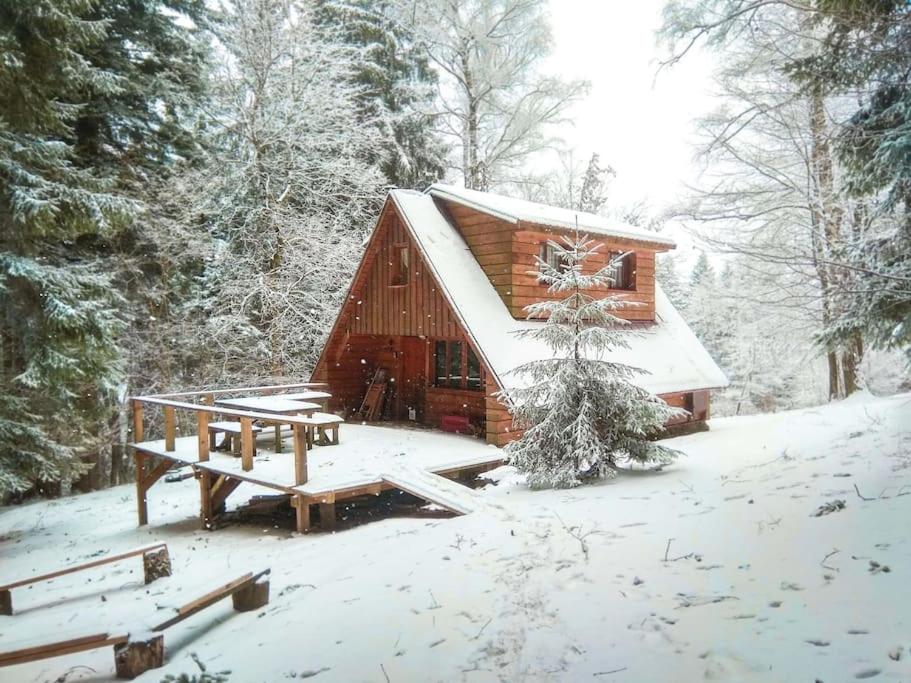 Roztomilá a utulná chata Azzy na samotě v lese., Valasské Klobouky ...