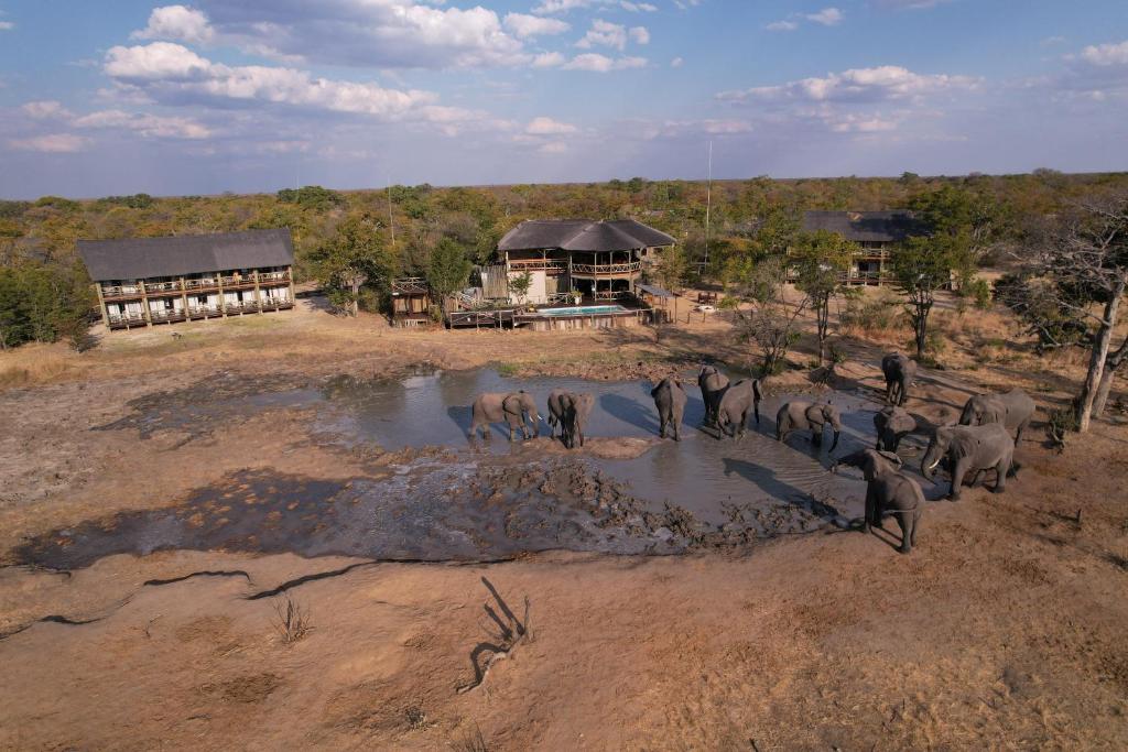 CHOBE MOPANI FOREST LODGE & CAMP SITE, Lesoma, Botswana - Booking.com
