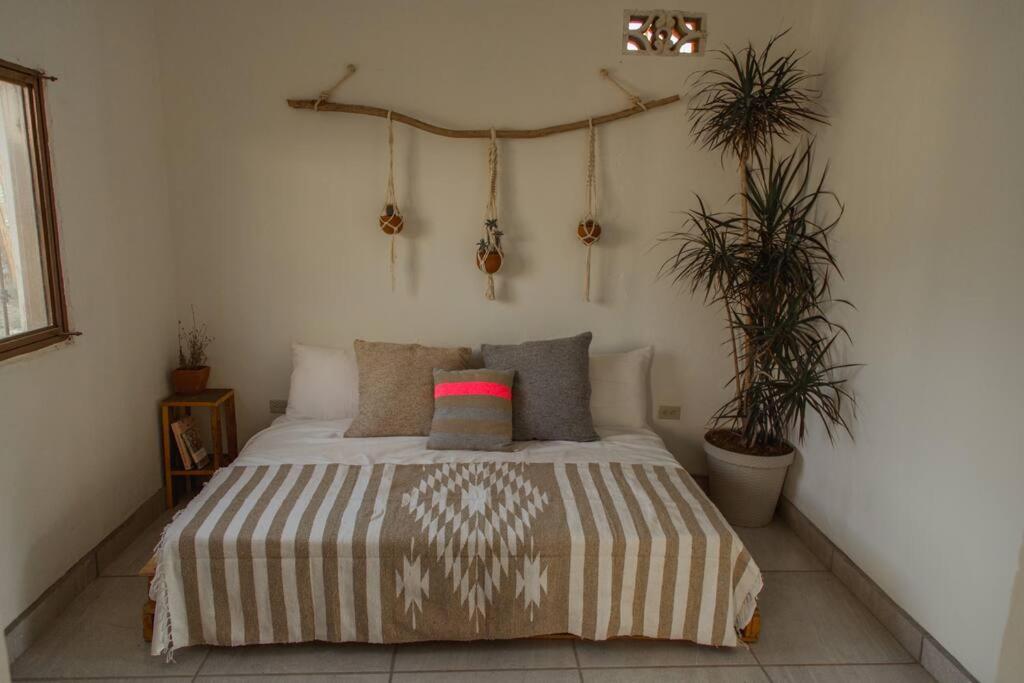 Cien Palmas- Authentic Mexican Casita 2 -Downtown, Todos Santos ...