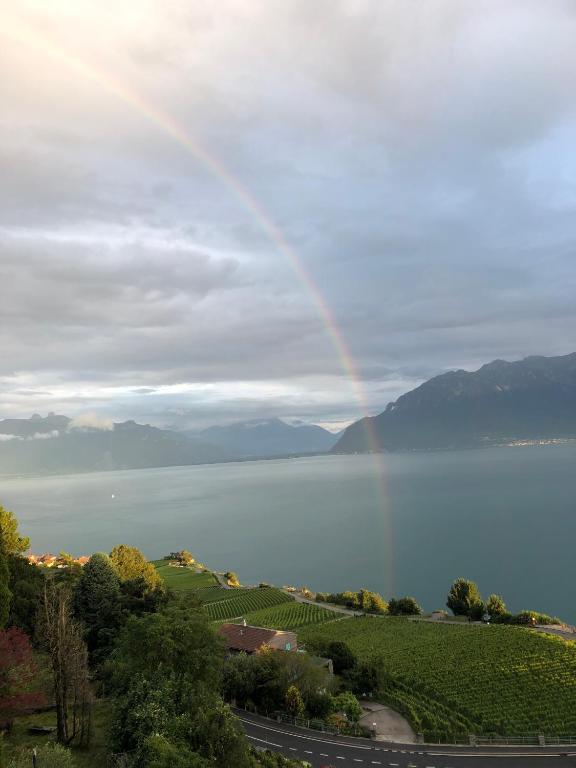 Room with 360° view overlooking Lake Geneva and Alps, Puidoux – Updated ...