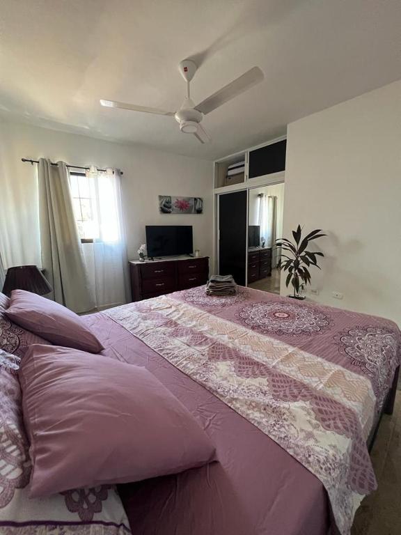 colimar, Puerto Plata (tarifs actualisés, 2025)