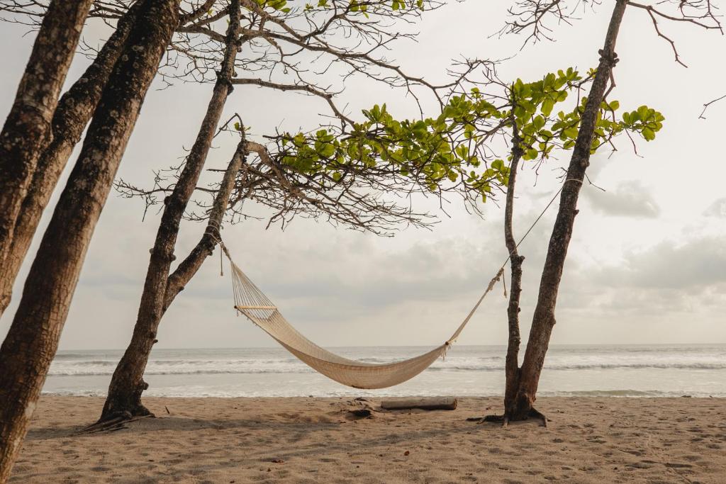 Blue Mist Hotel- Adults Only, Santa Teresa Beach (updated prices 2025)