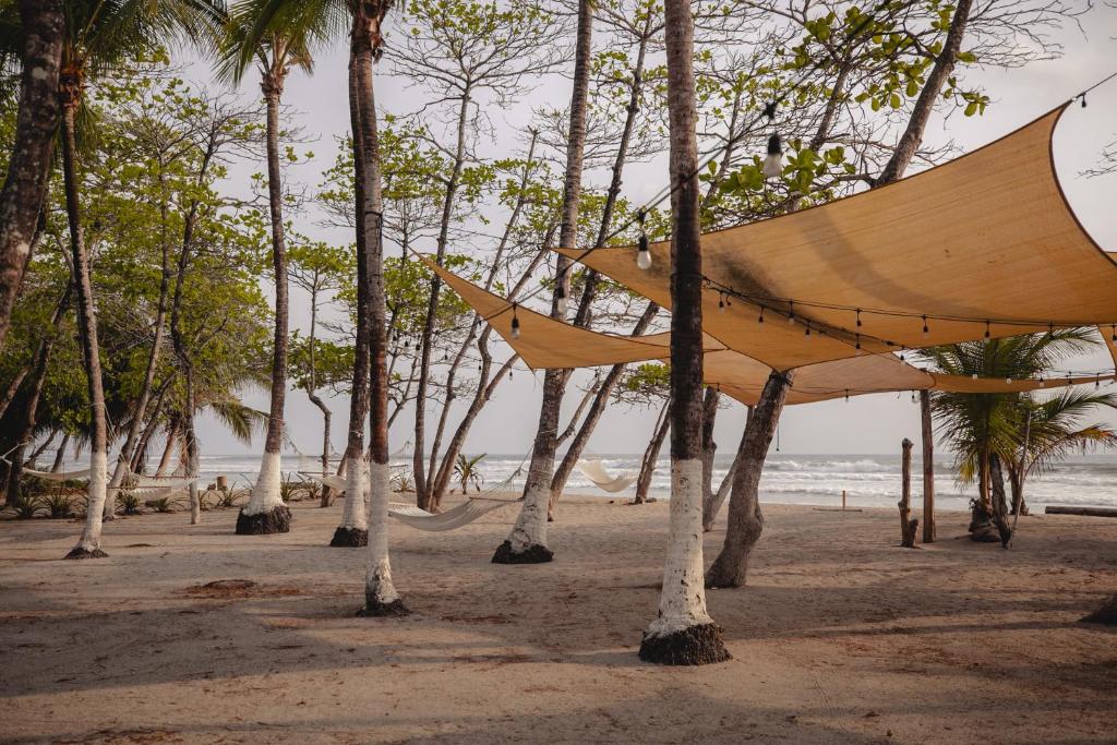 Blue Mist Hotel- Adults Only, Santa Teresa Beach (updated prices 2025)
