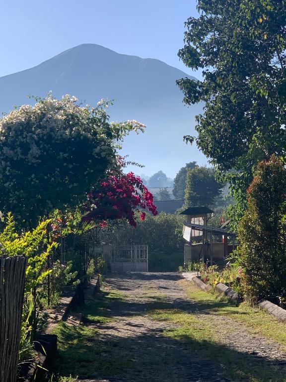 Lembah Rinjani Villa & Resto by ecommerceloka, Sembalun Lawang ...
