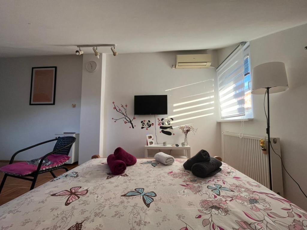 Studio Gaga, Kneževac (updated prices 2026)