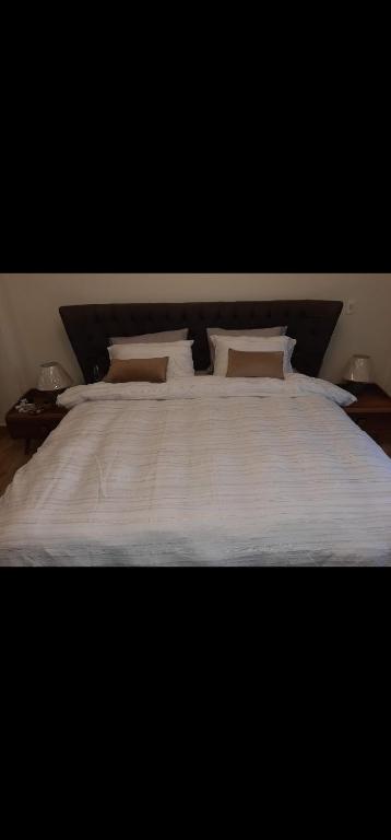 Zayed regency, Sheikh Zayed (nove cijene za 2025.)