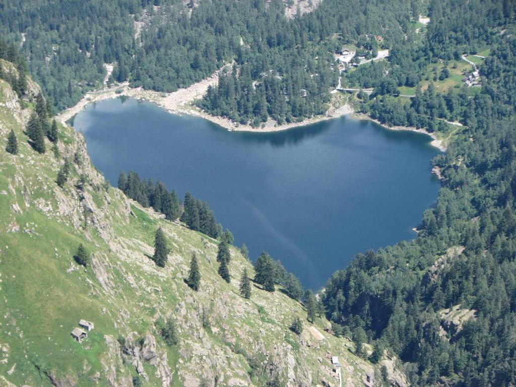 Canadian Forest With L Shaped Lake