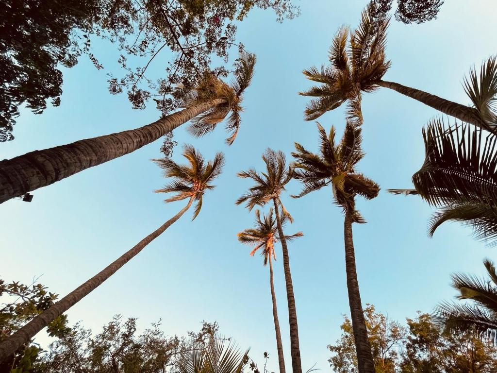 CHEZ ALAIN, Toliara (updated prices 2025)