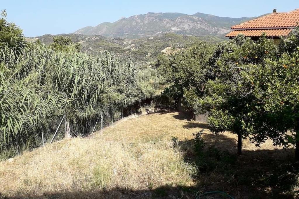 Εξοχική μεζονέτα στην περιοχή ζαχαρω, Zakharo – Updated 2022 Prices