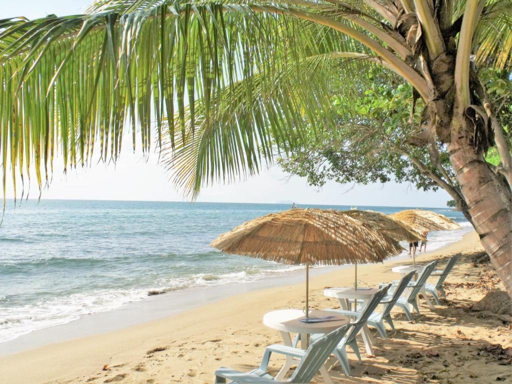 Coqui #7 at Rincon Beach, beach gate, sea view balcony, pool, Rincon ...