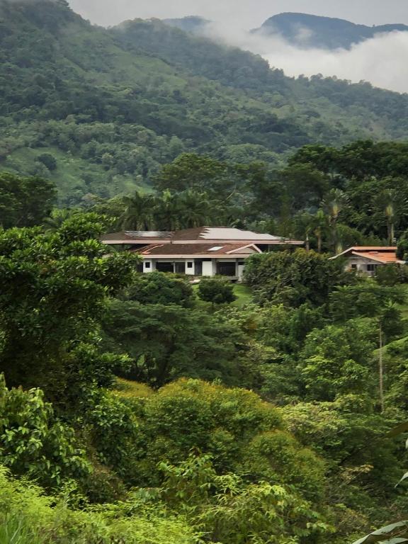 Beautiful estate in quiet surroundings close to beach, Naranjito ...