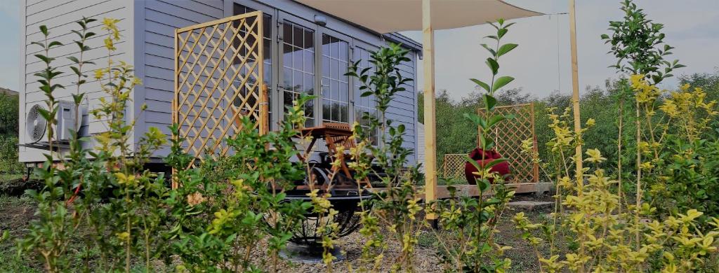 1001 Village, Jugureni – Precios actualizados 2023