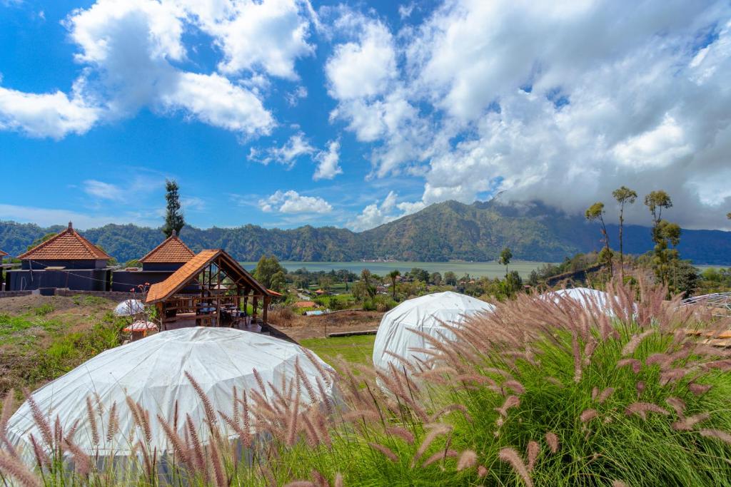 Segara Camp Kintamani, Kintamani (updated prices 2025)
