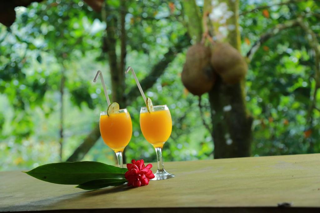 Rainforest Edge, Kalawana (updated prices 2025)