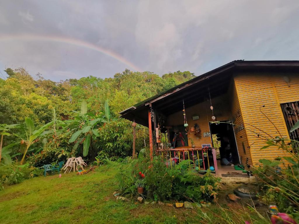 Reserva Natural Faunal - Minca - Observatorio de Aves, Minca (tarifs ...