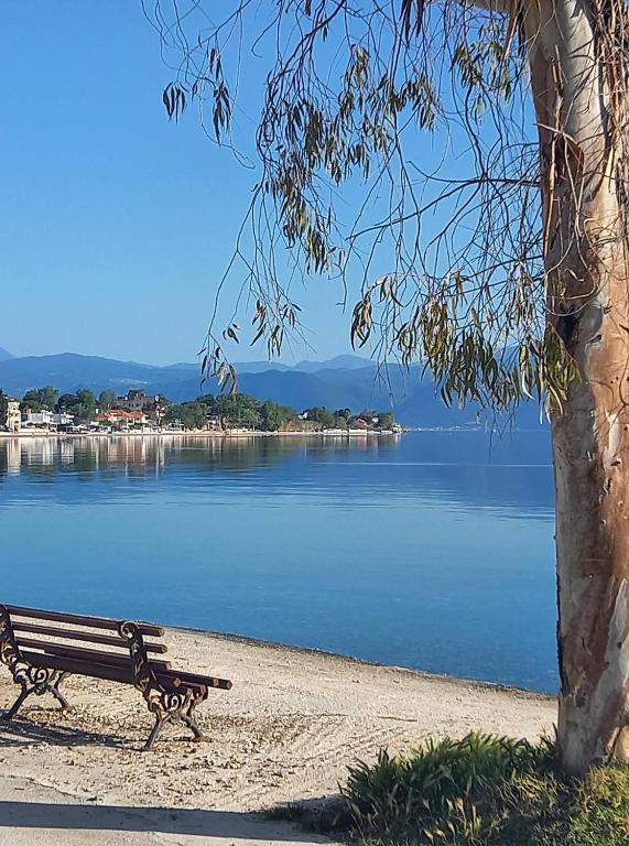 Moukas Seaside Apartments Romantico, Selianitika – Updated 2024 Prices