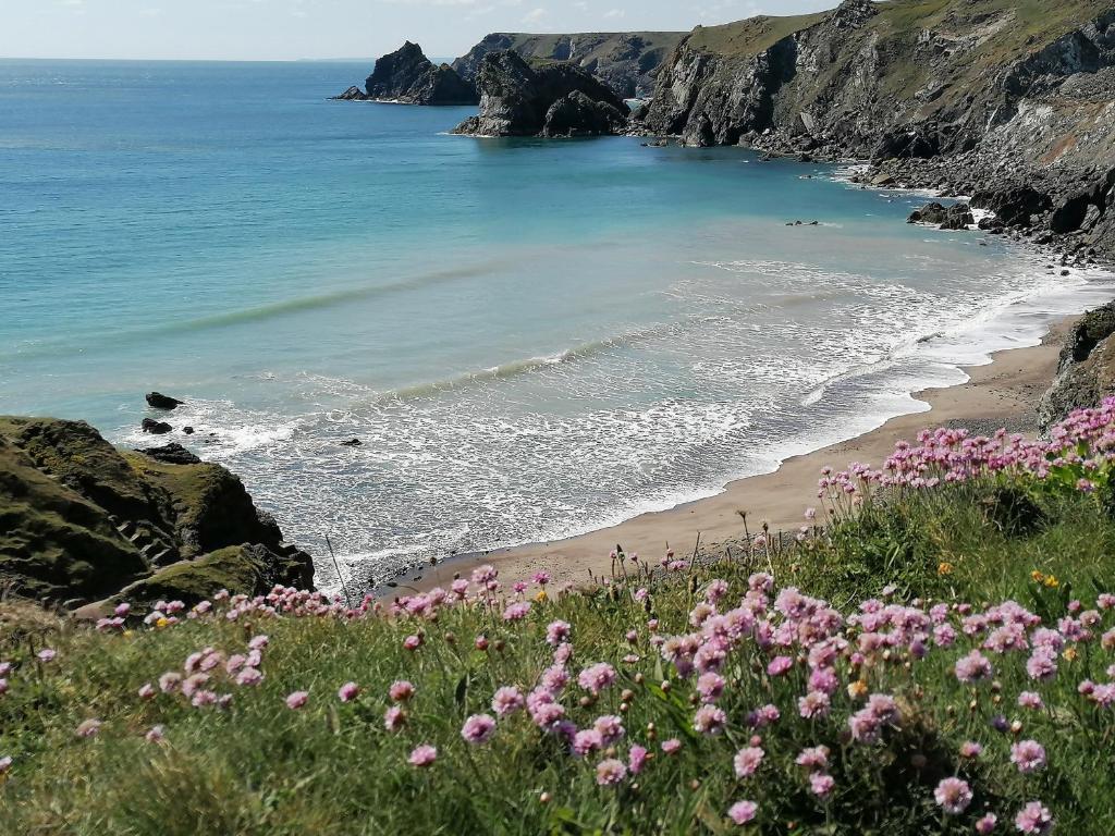 The Flower Mill Cornwall | Best Flower Site