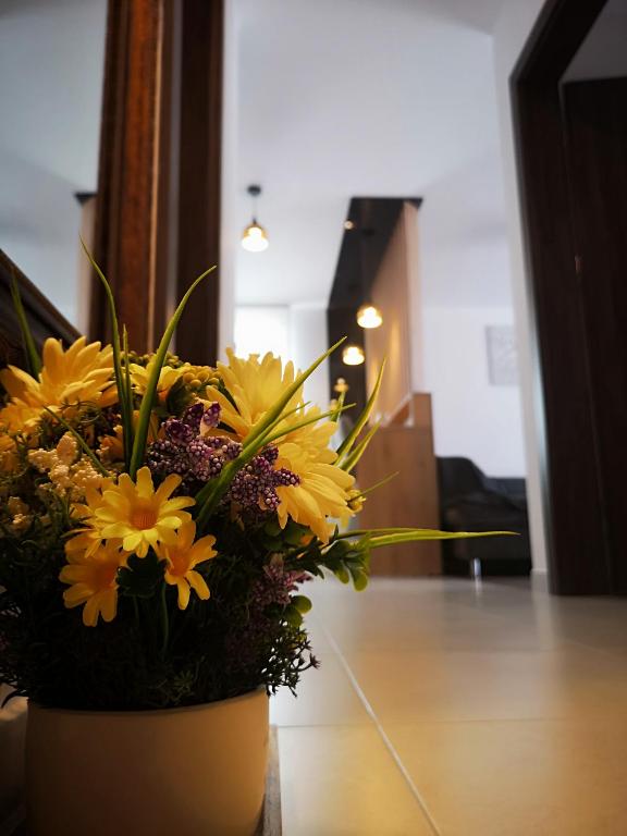 Alexandra view studio, Braşov – Aktualisierte Preise für 2023