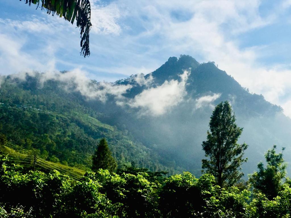 The Haldummulla Estate - Picturesque planters bungalow on organic tea ...