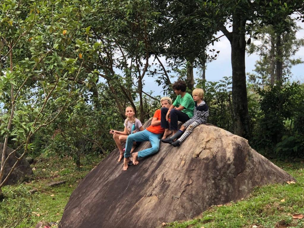 The Haldummulla Estate - Picturesque planters bungalow on organic tea ...