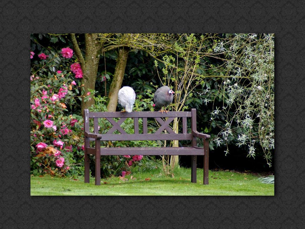 Langrish House, Petersfield (updated prices 2025)