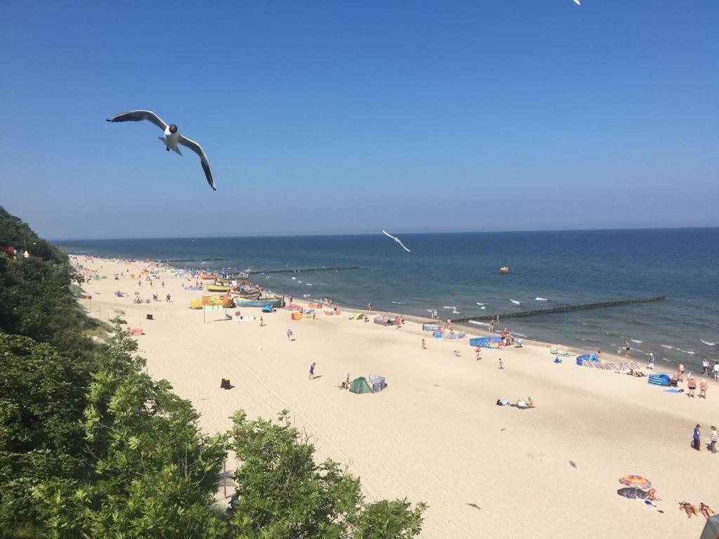 Villa Marea Misdroy, Międzyzdroje (updated prices 2026)