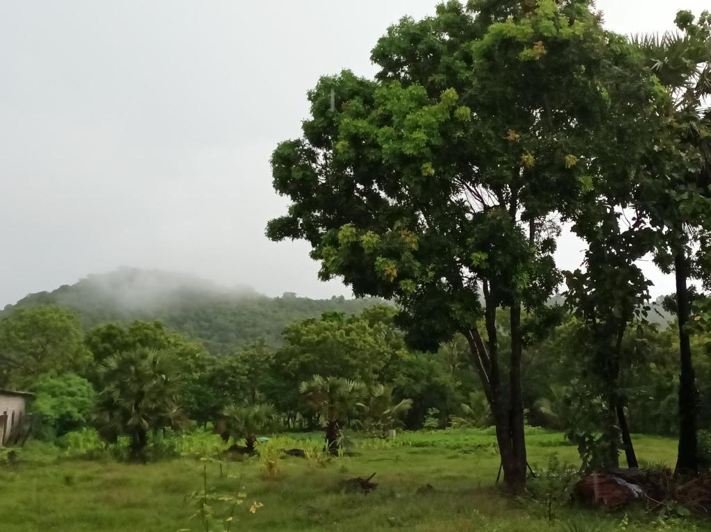 Mountain View, Potana (updated prices 2025)