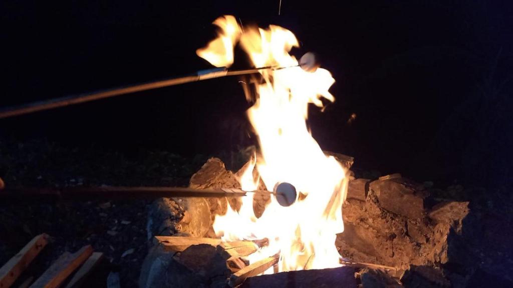 Glamping Tambores | Campsite in Balboa, Colombia