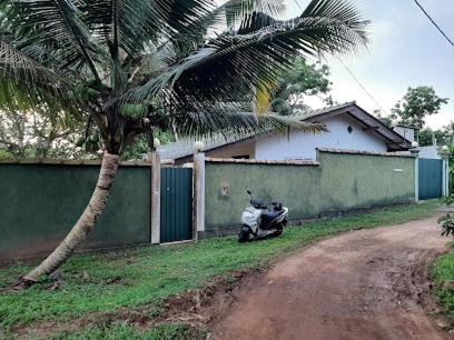 The Paddy View, Hikkaduwa (updated prices 2025)