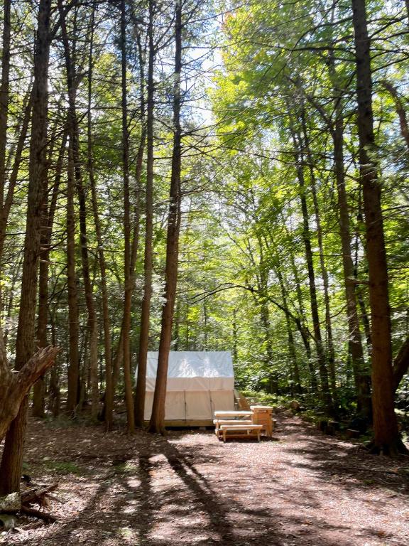 Tentrr Signature Site - Secluded Streamside Camp 90 miles from NYC ...