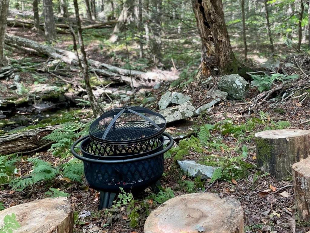 Tentrr Signature Site - Secluded Streamside Camp 90 miles from NYC ...