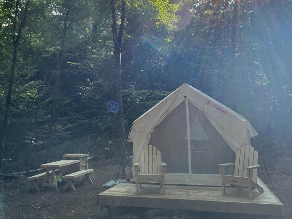 Tentrr Signature Site - Camp at Coyote Run, Delhi (preços atualizados ...