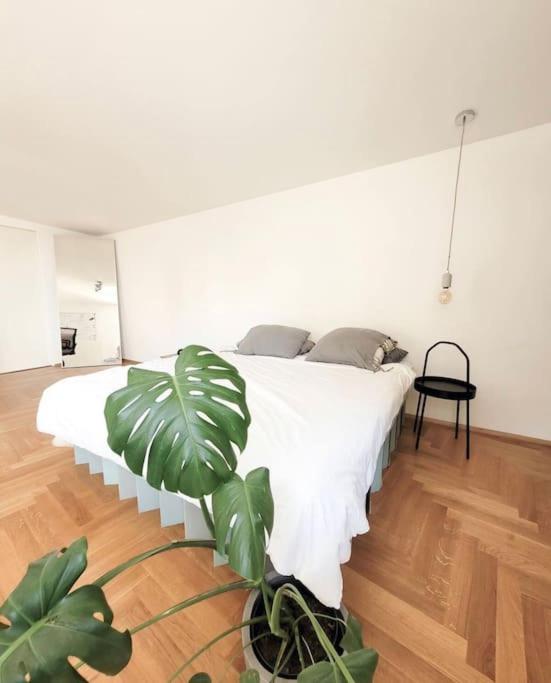 Beautiful apartment in central Munich, München (aktualisierte Preise ...