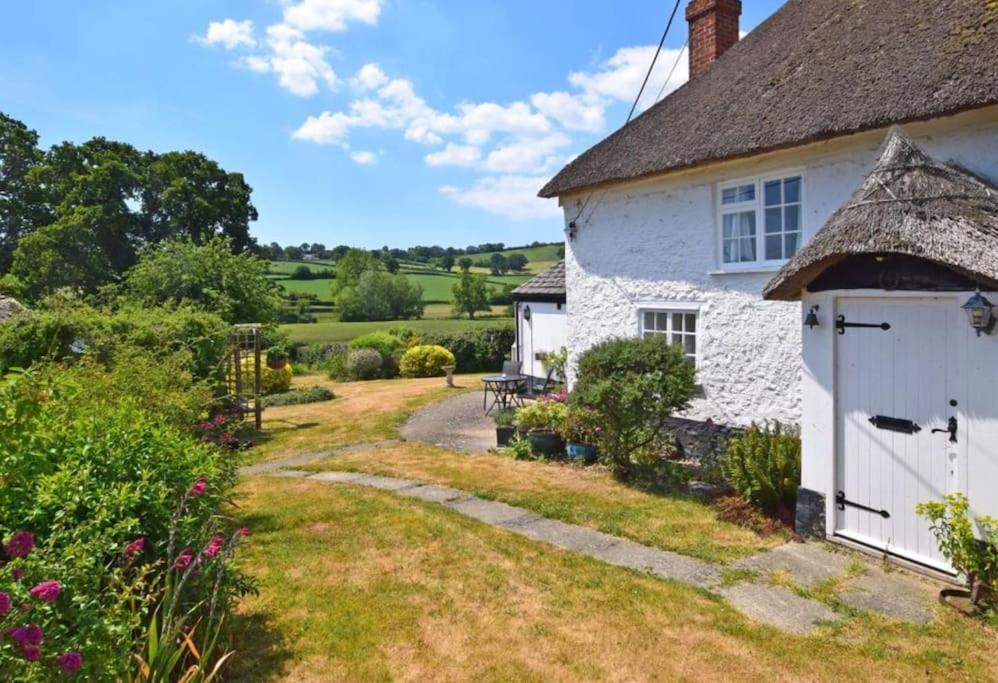 Beautiful cottage in stunning setting, Colyton (updated prices 2024)