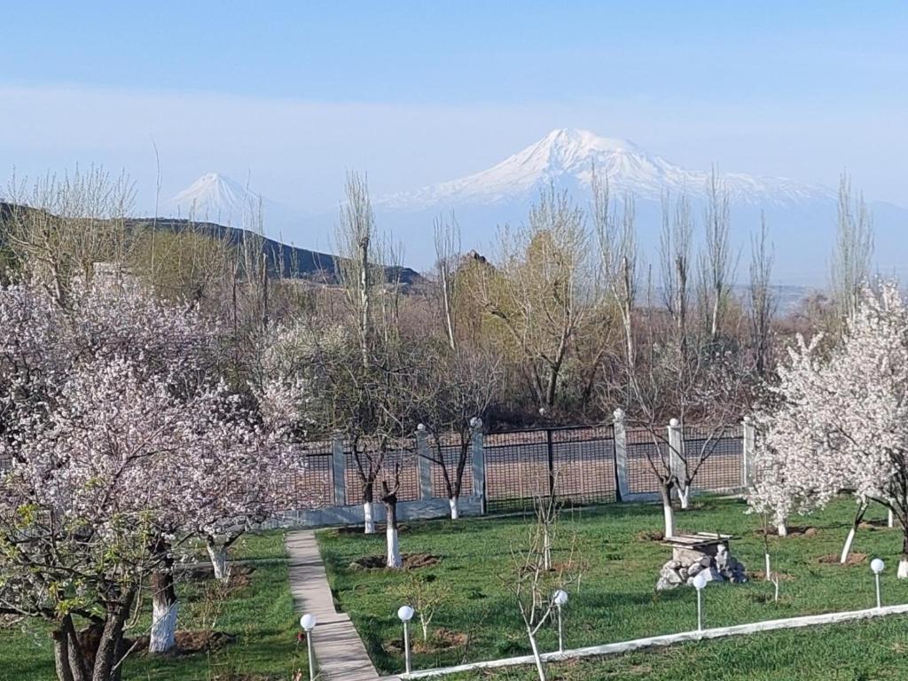 H&L Coworking and Live, Jrvezh (updated prices 2024)