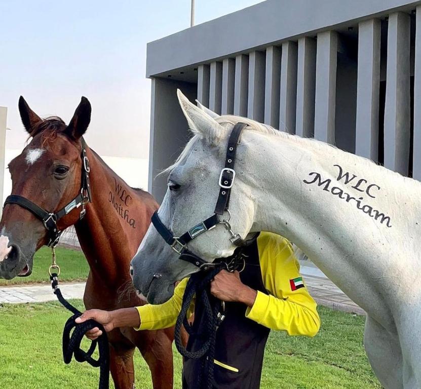 Aayan Resort, Warīsān (updated prices 2025)