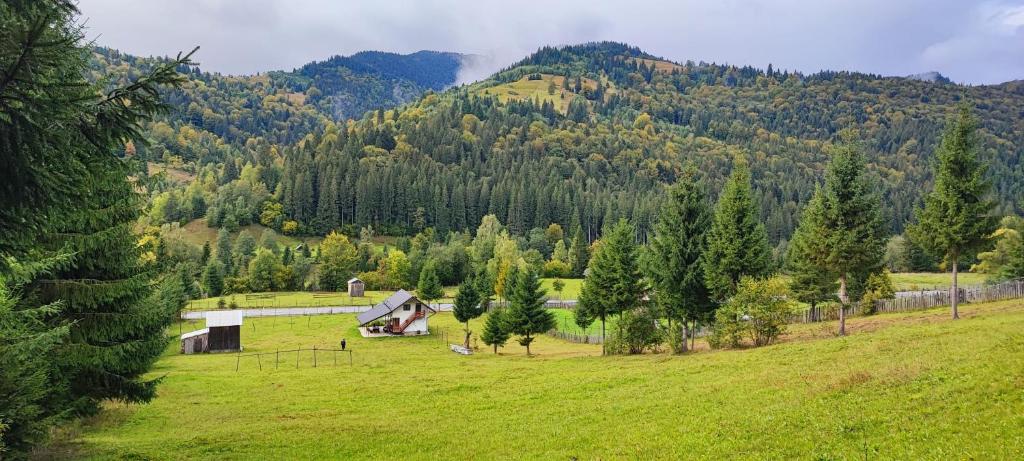 Pe-un Picior de Plai, Borca (updated prices 2024)