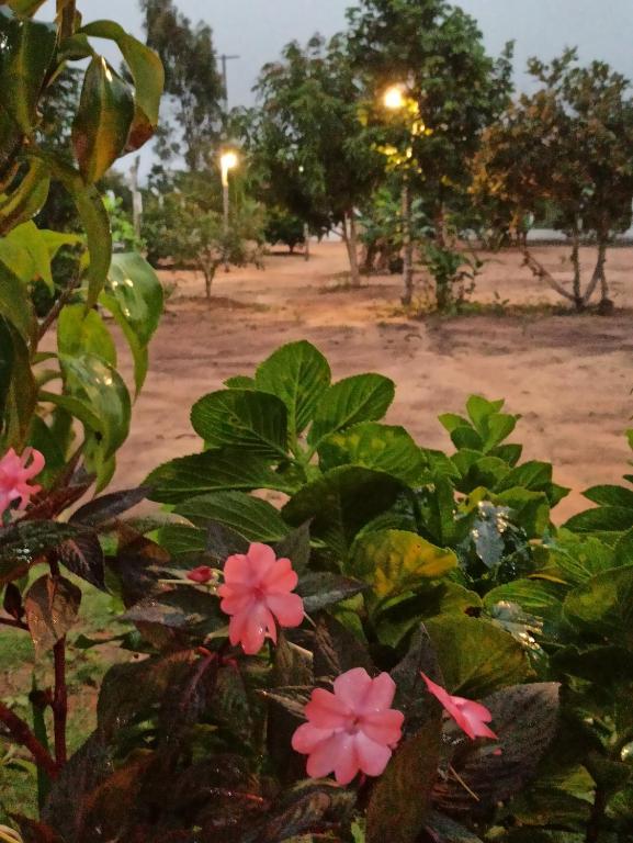 Travel guide Viçosa Do Ceará, Brazil - Where to Sleep & Things to Do
