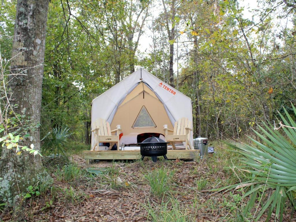 luxusní stan Tentrr State Park Site - Louisiana Fontainebleau State ...