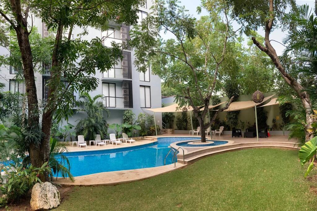 Explora la Riviera Maya!, Playa del Carmen (updated prices 2025)