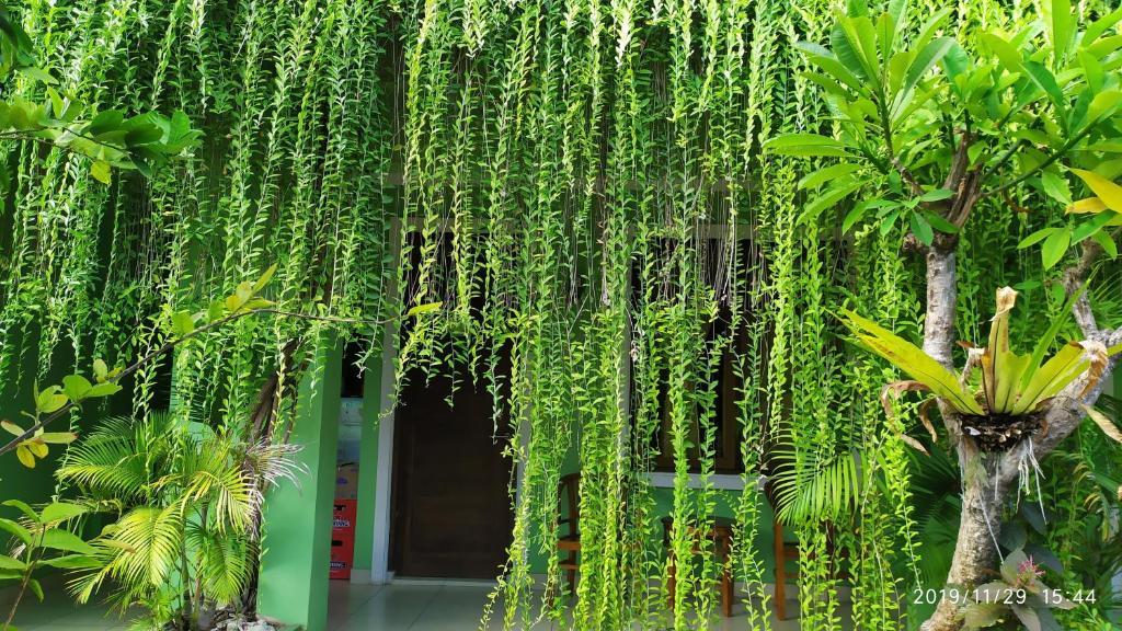 PURNAMA HOUSE KUTA, Kuta – Updated 2024 Prices