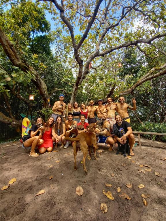 Mapu, Pipa (updated prices 2025)